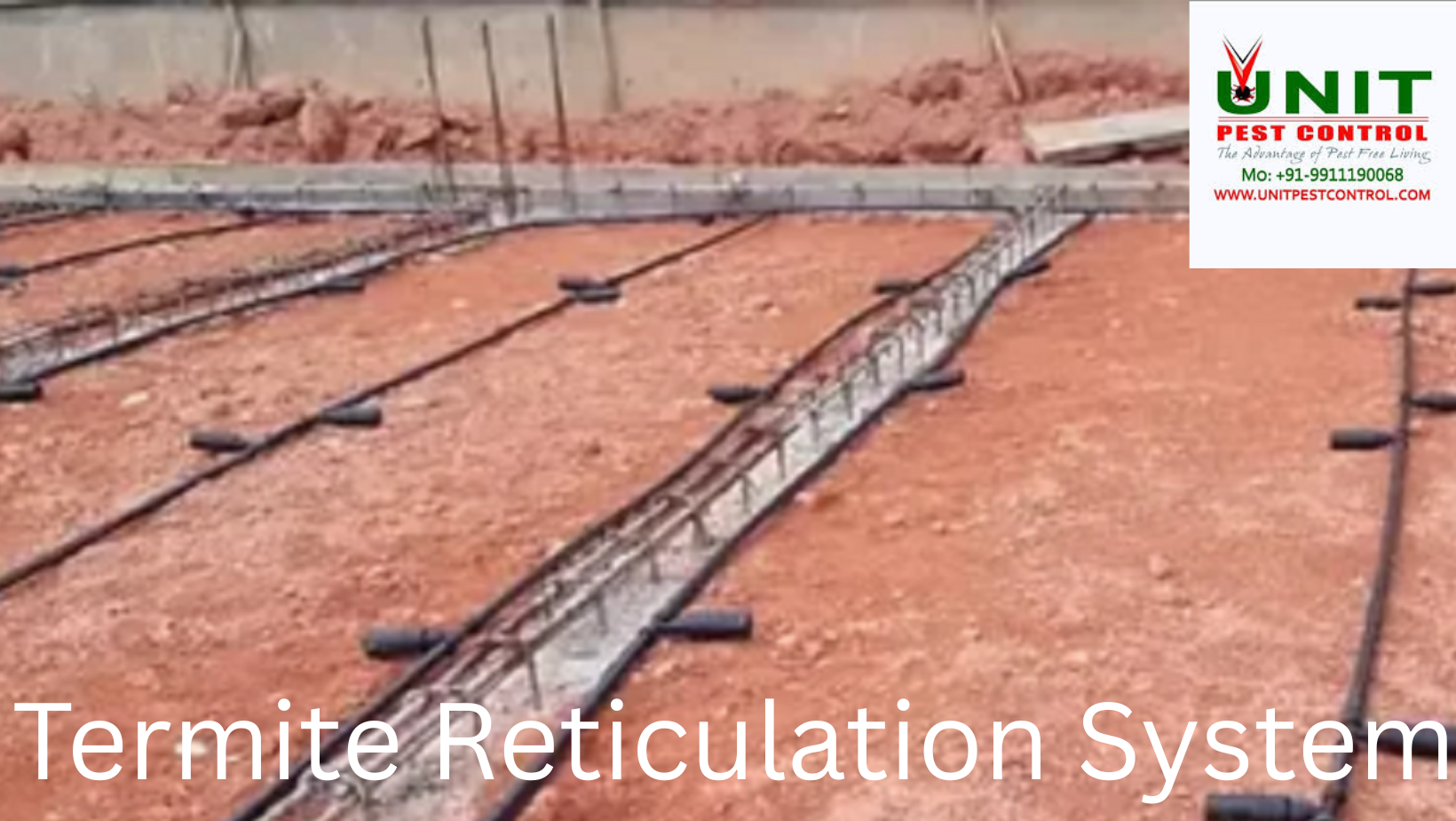 Best Anti Termite Piping System Delhi | Termite Reticulation Cost