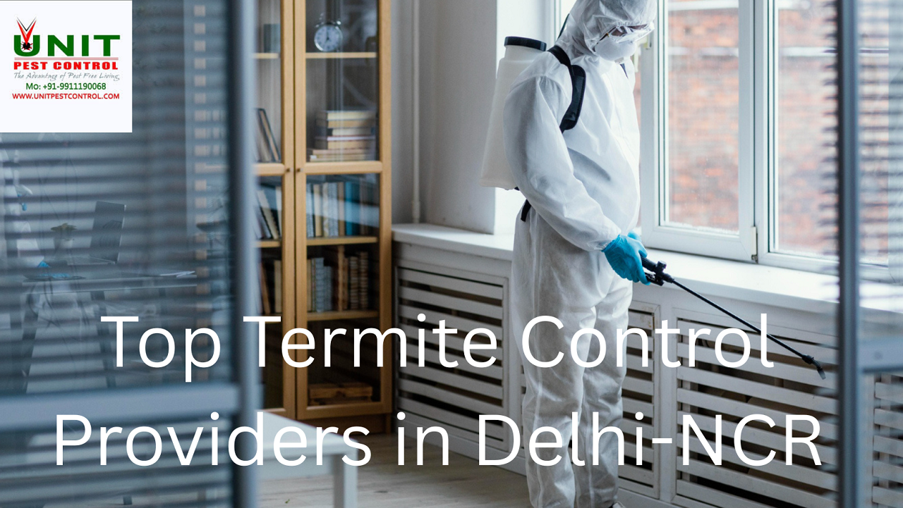 List of Best Termite Treatment Companies in Delhi NCR